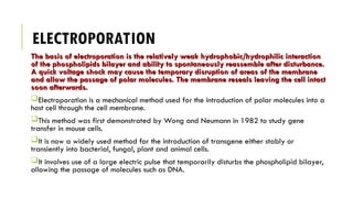 Gene transfer techniques in biotechnology | PPT