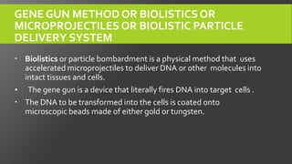Gene transfer techniques in plants by Kailash Sontakke | PPT