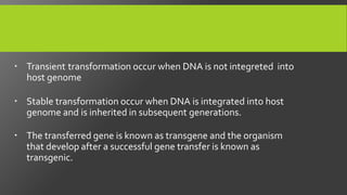 Gene transfer techniques in plants by Kailash Sontakke | PPT
