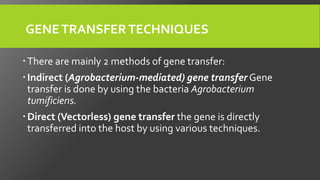 Gene transfer techniques in plants by Kailash Sontakke | PPT