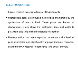 Gene transfer technologies | PPTX