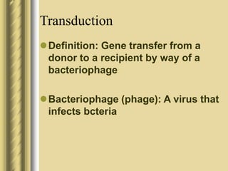 Gene transfer to plants | PPT