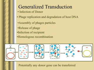 Gene transfer to plants | PPT