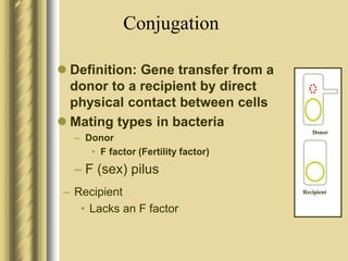 Gene transfer to plants | PPT
