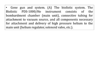 genetransformation | PPT