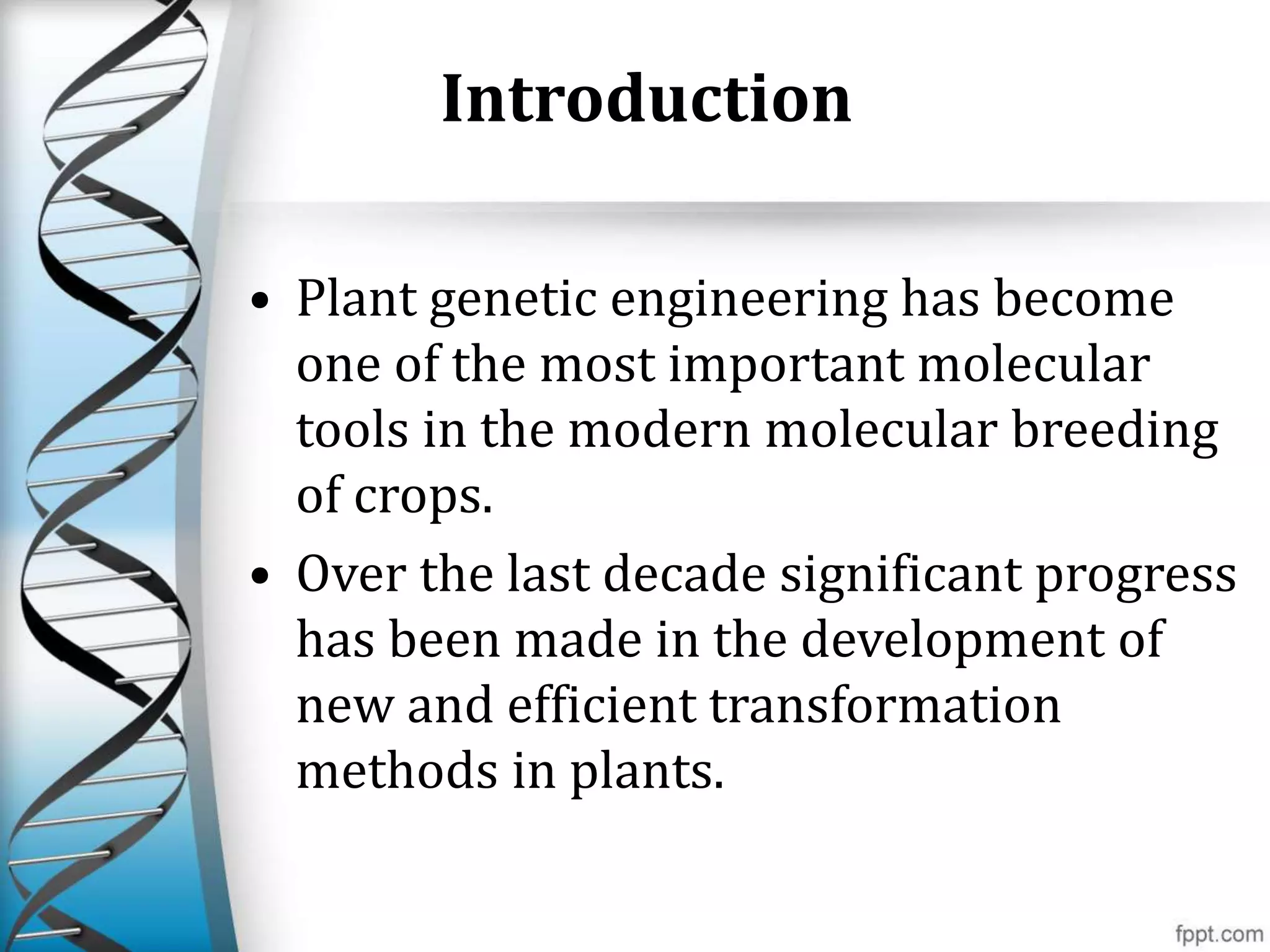 Gene transformation in plants | PPT