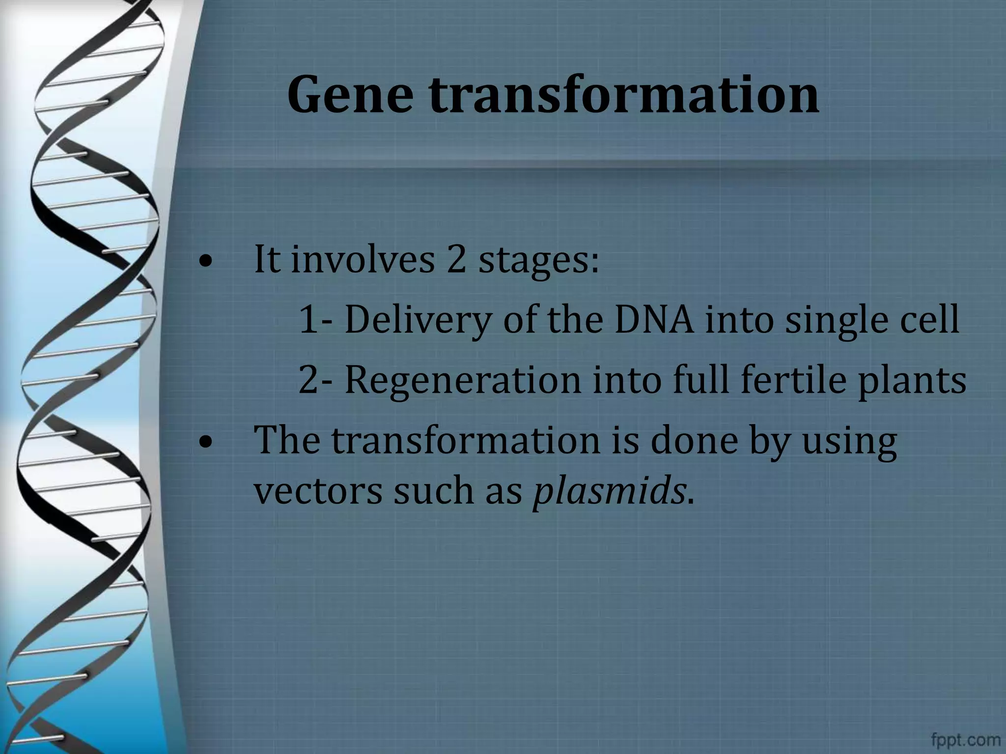 Gene transformation in plants | PPT