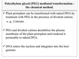 Gene transformation methods | PPTX