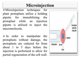 Gene transformation methods | PPTX