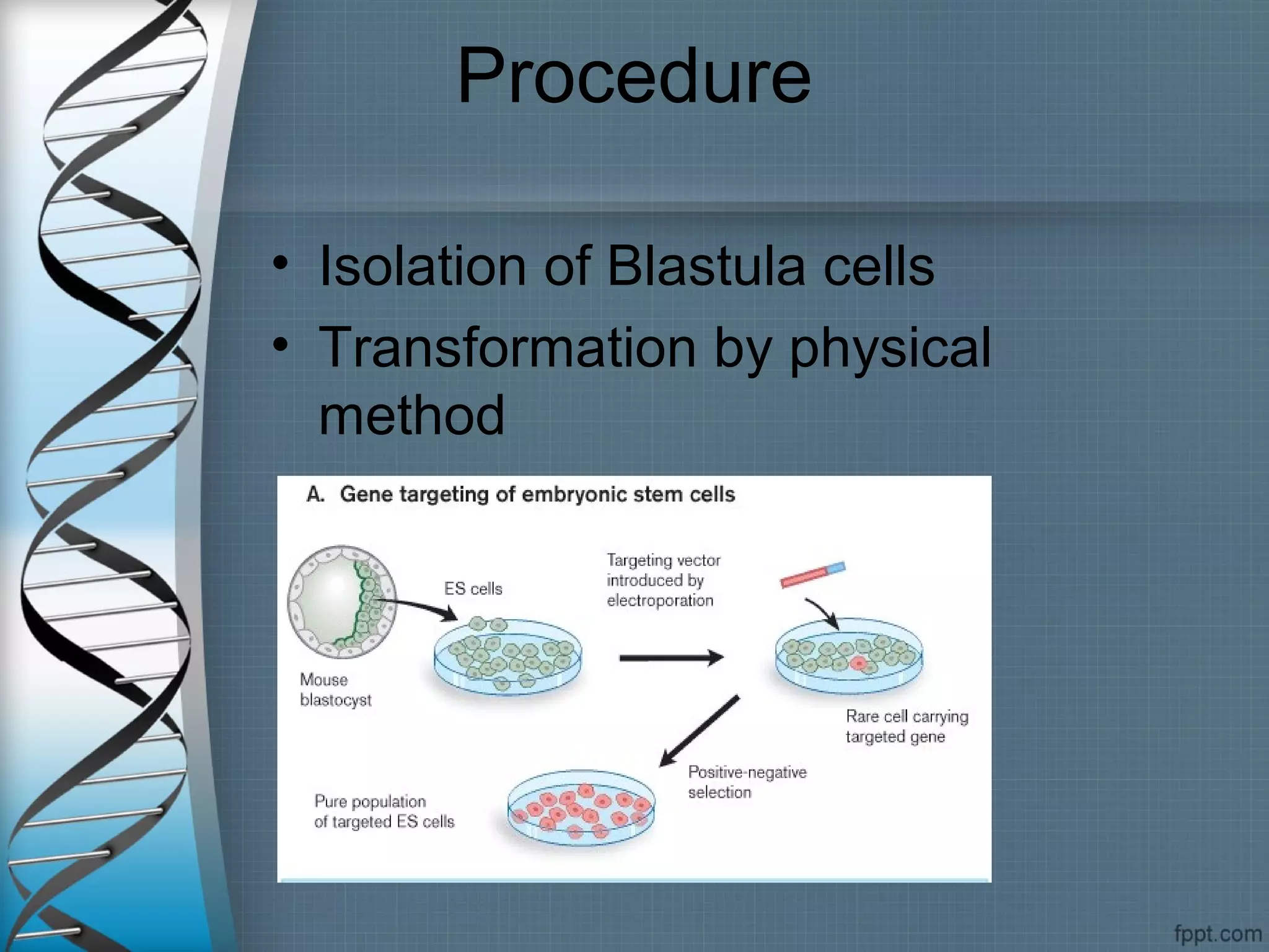 Gene transformation techniques | PPT