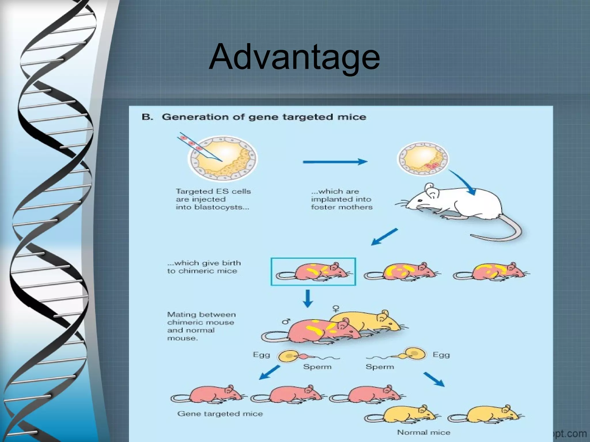 Gene transformation techniques | PPT