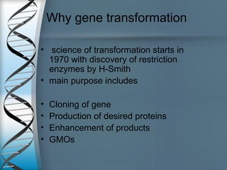Gene transformation techniques | PPT