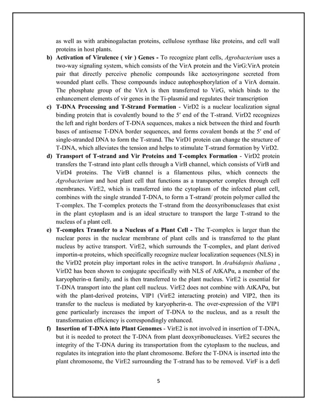 Agrobacterium and other methods of plant transformation including gene ...