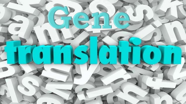 Gene translation | PPTX | Programming Languages | Computing