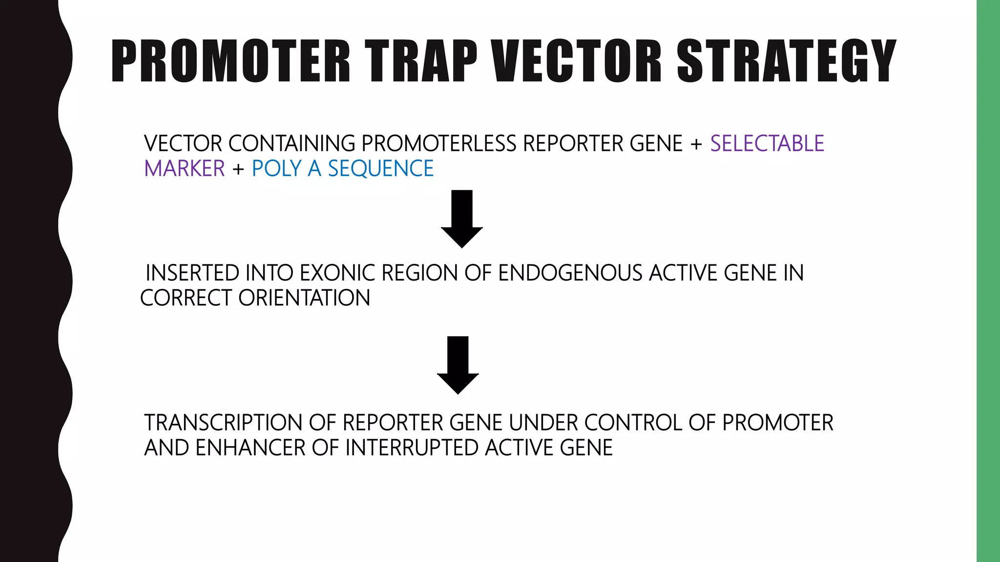 Gene traps for plant development and genomics | PPTX