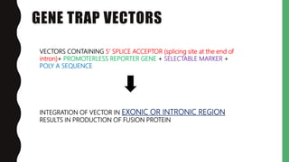 Gene traps for plant development and genomics | PPTX | Programming ...