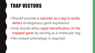 Gene traps for plant development and genomics | PPTX | Programming ...