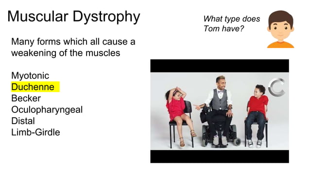 Lesson 7_ Muscular System Disorders.pptx