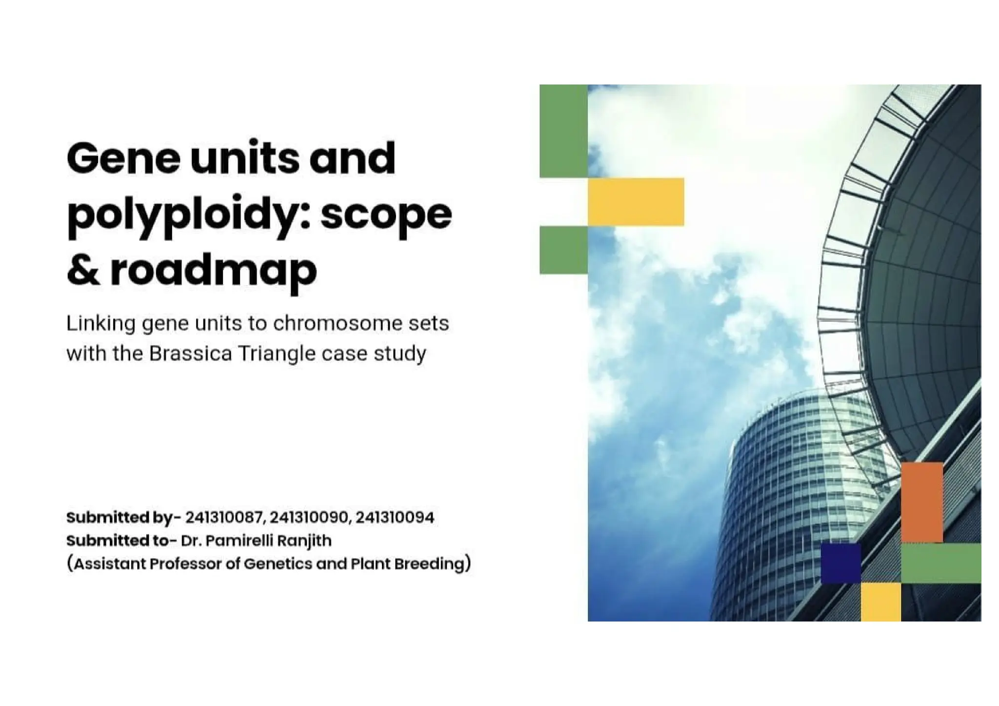 Gene units and Polyploidy.presentation pbg | PPT