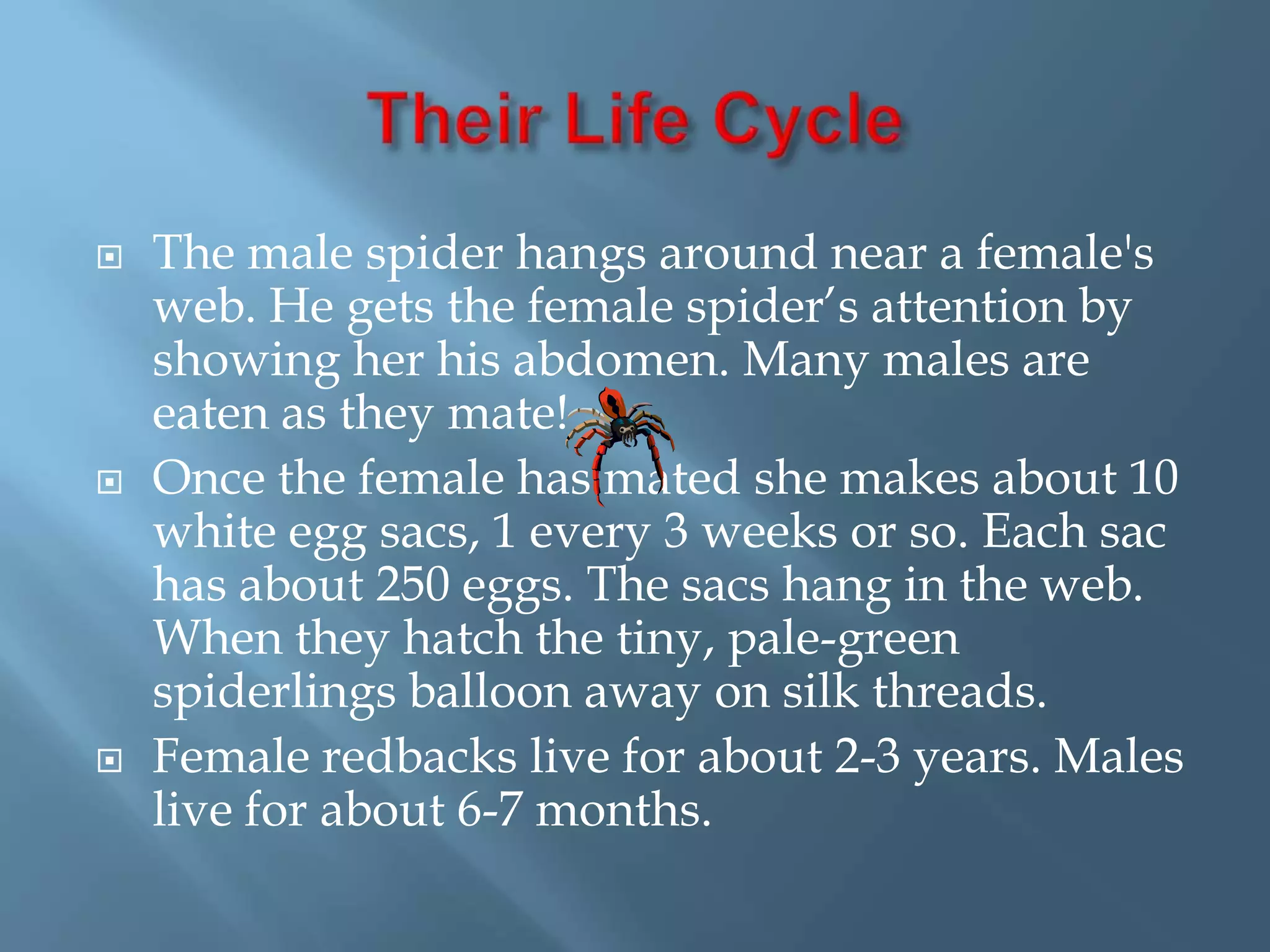 Genevieves Project Redback Spiders | PPTX | Injuries | Diseases and Conditions