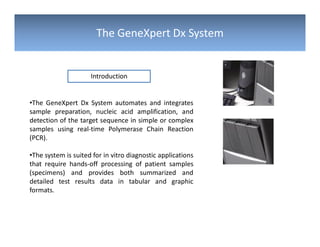 Gene Xpert | PDF