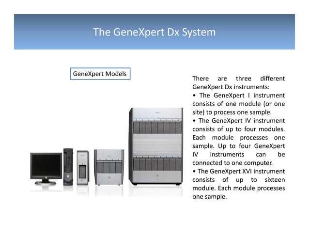 Gene Xpert | PDF