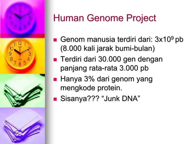 gen, genom, kromosom.ppt