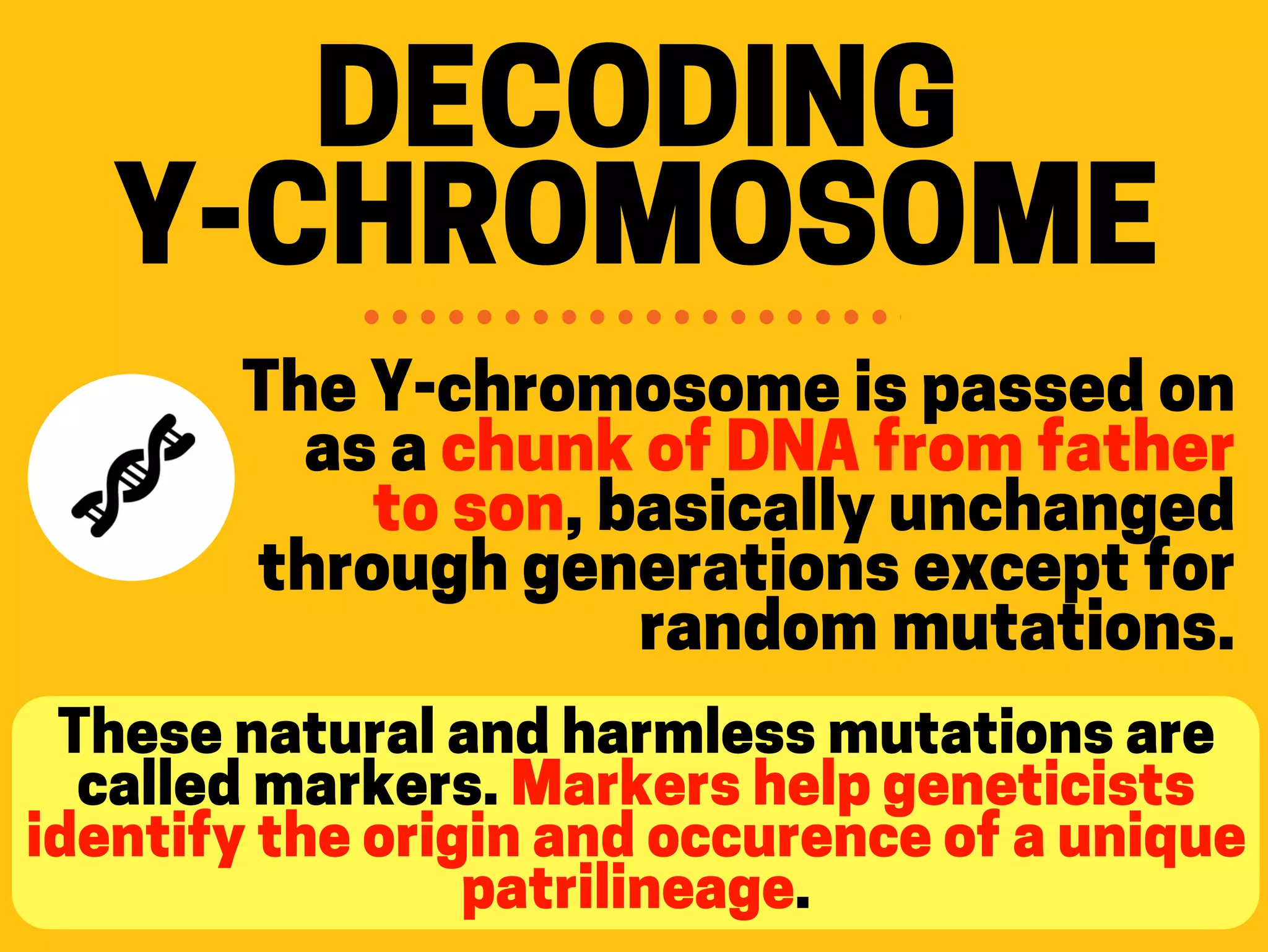 Genghis Khan's Genetic Legacy | PPT