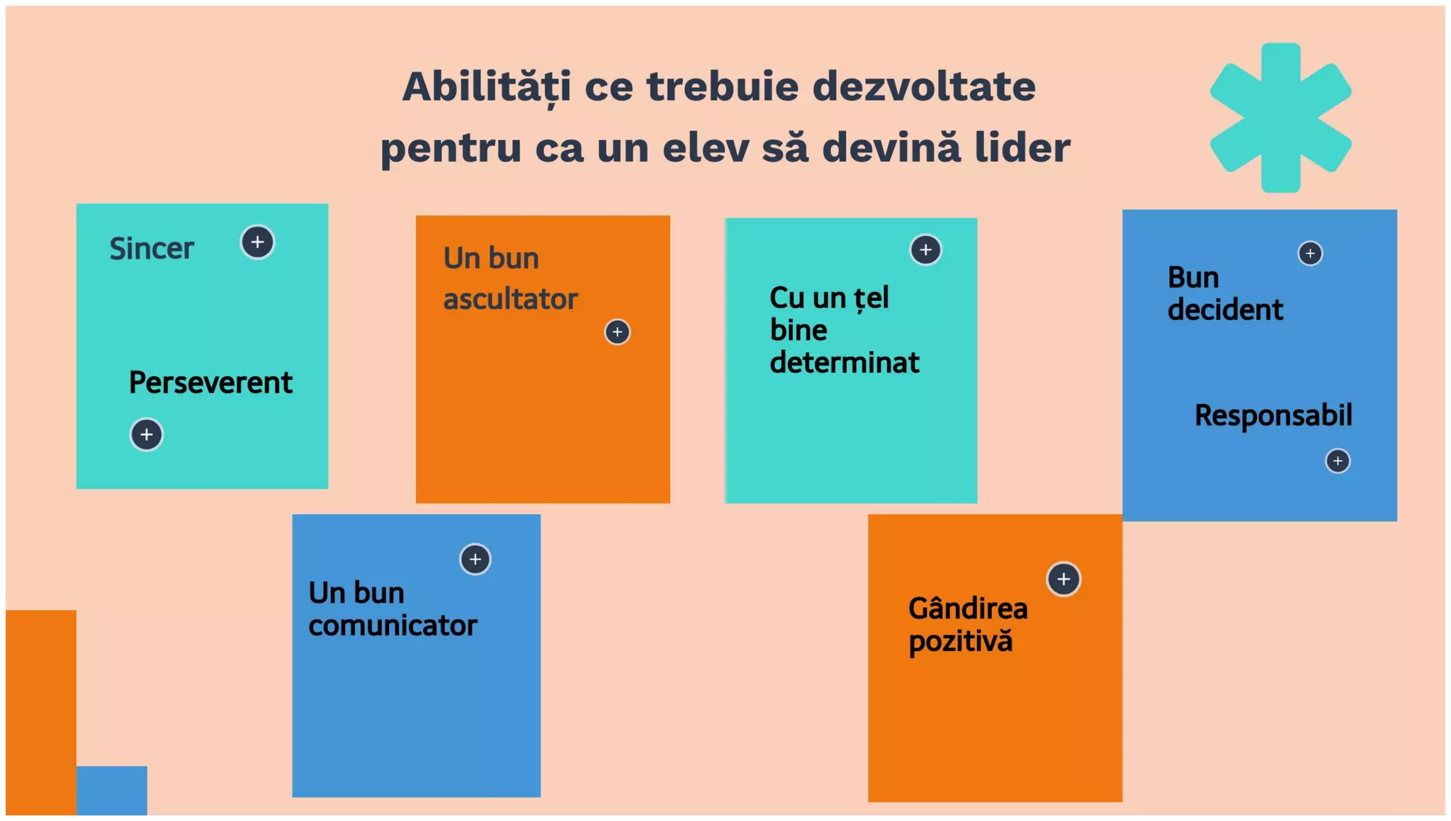 Leadership - competența sec XXI | PDF