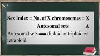 Genic balance theory of Calvin Bridges | PPTX