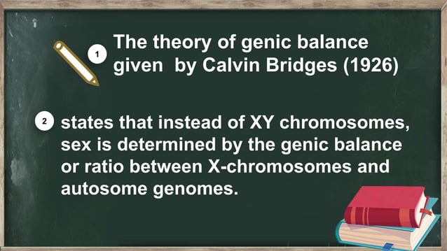Genic balance theory of Calvin Bridges | PPTX | Genetics | Science