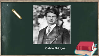 Genic balance theory of Calvin Bridges | PPTX