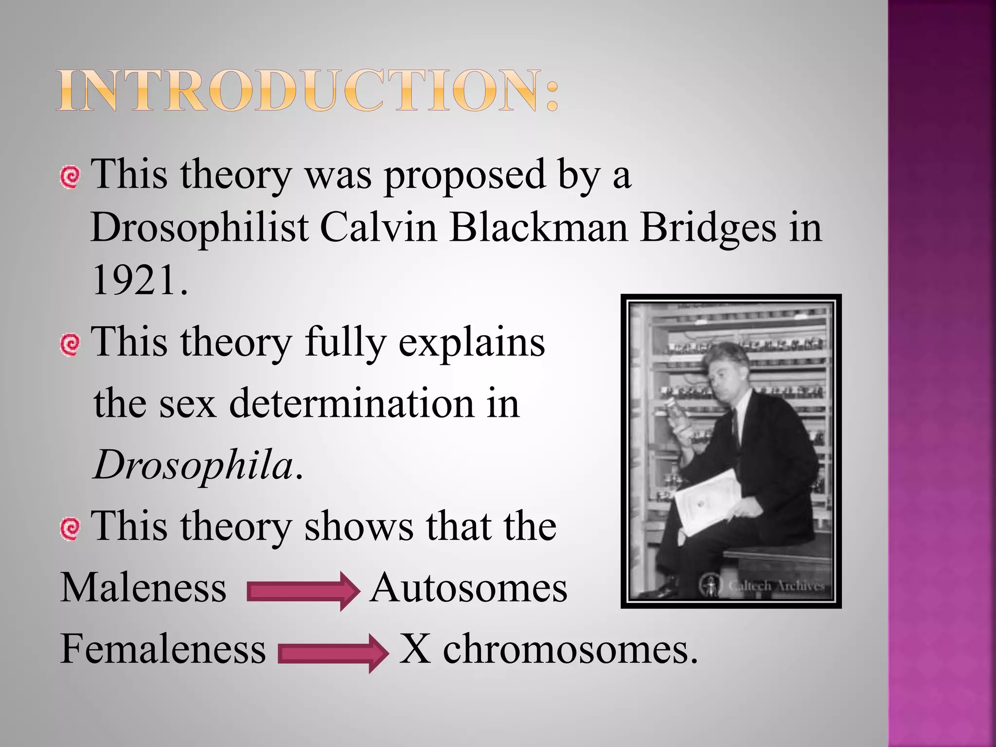 Genic balance theory of bridges gynandromorphs | PPTX