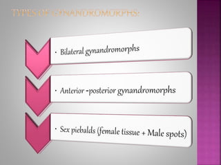 Genic balance theory of bridges gynandromorphs | PPTX