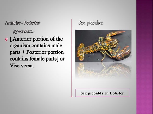 Genic balance theory of bridges gynandromorphs | PPTX | Genetics | Science