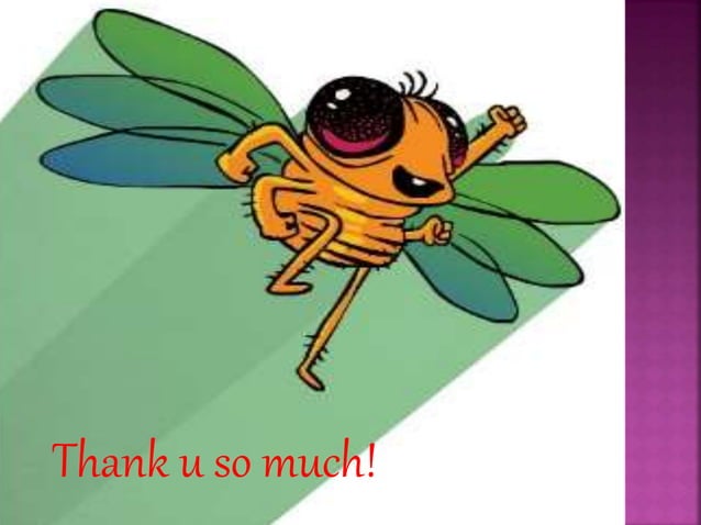 Genic balance theory of bridges gynandromorphs | PPTX | Genetics | Science