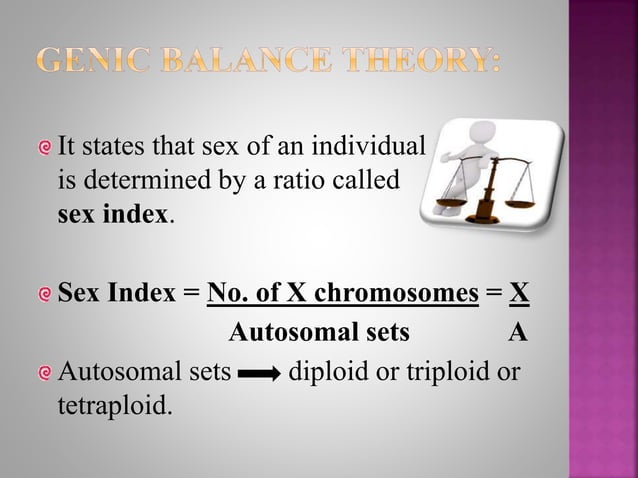 Genic balance theory of bridges gynandromorphs | PPTX | Genetics | Science