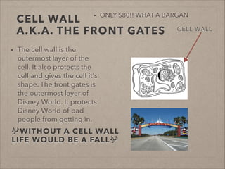Cell Project Genie tokayer and leora belitz | PDF