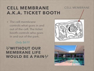 Cell Project Genie tokayer and leora belitz | PDF