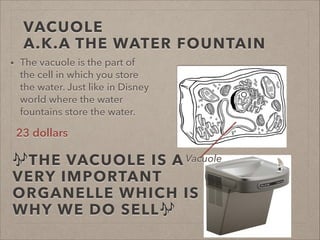 Cell Project Genie tokayer and leora belitz | PDF