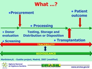 Geni Neumann Lima de Camara - Brazil - Monday 28 - Traceability and ...