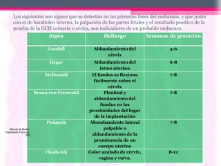 Exploración de Genitales masculinos y femeninos | PPTX