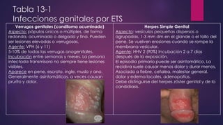 Exploracion fisica: Genitales masculinos y hernias. | PPTX