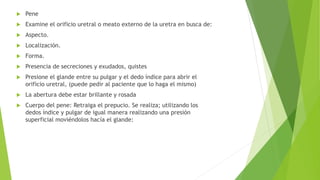 SEMIOLOGIA - Genitales masculino y femenino | PPTX