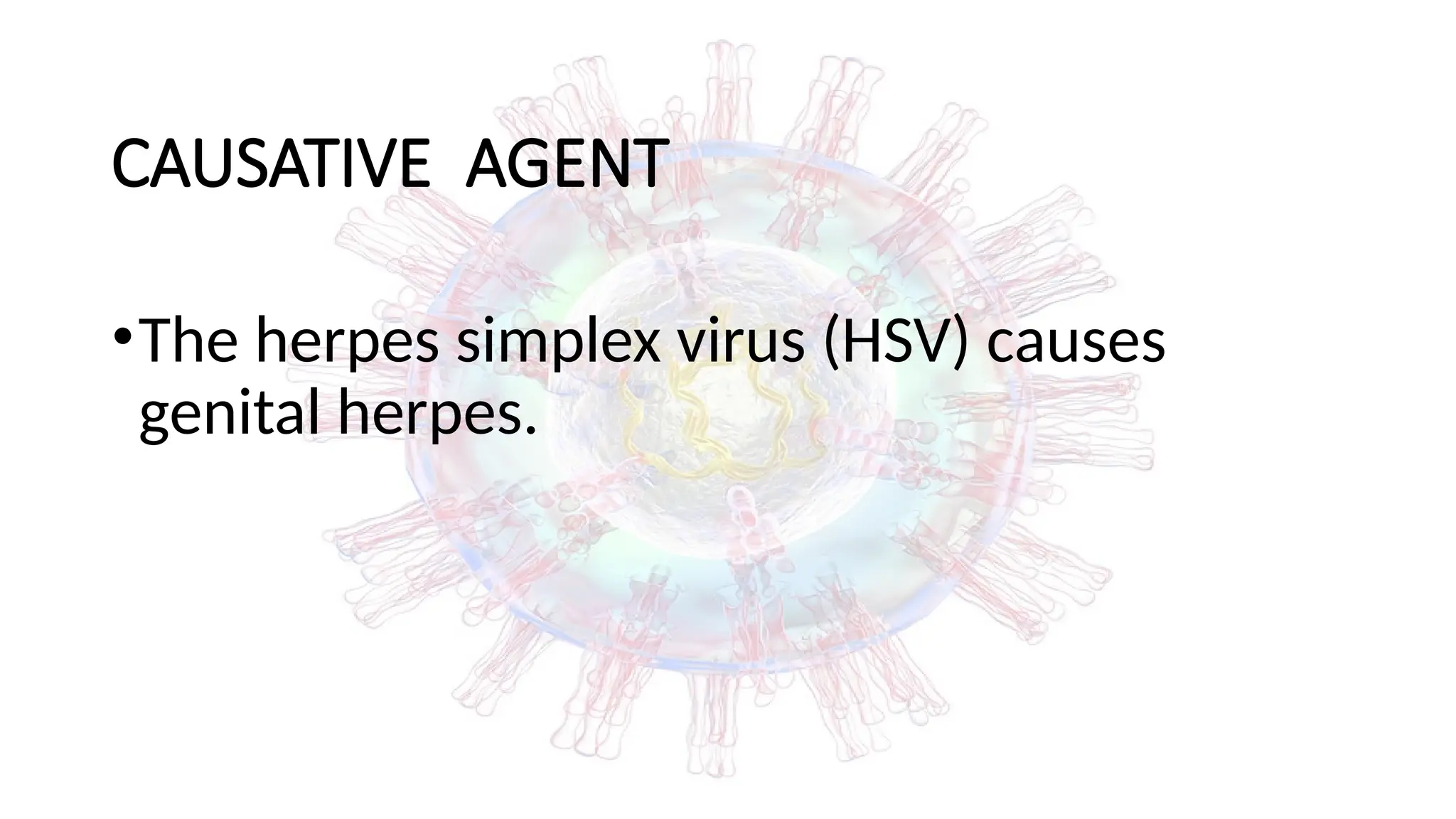 GENITAL HERPES.pptx STD , MEDICAL AND SURGICAL II | PPTX | Infectious Diseases | Diseases and ...
