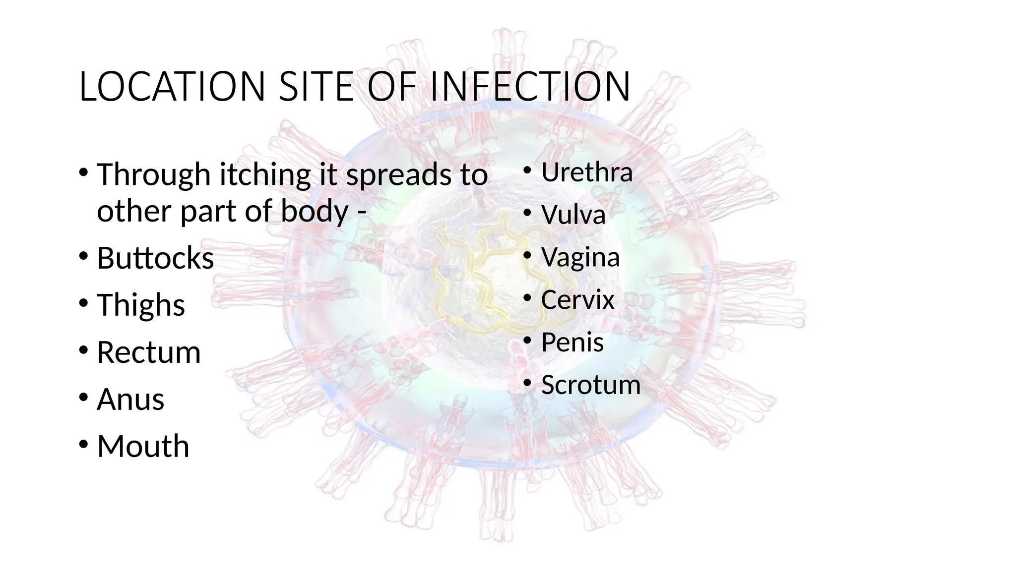 GENITAL HERPES.pptx STD , MEDICAL AND SURGICAL II | PPTX | Infectious Diseases | Diseases and ...