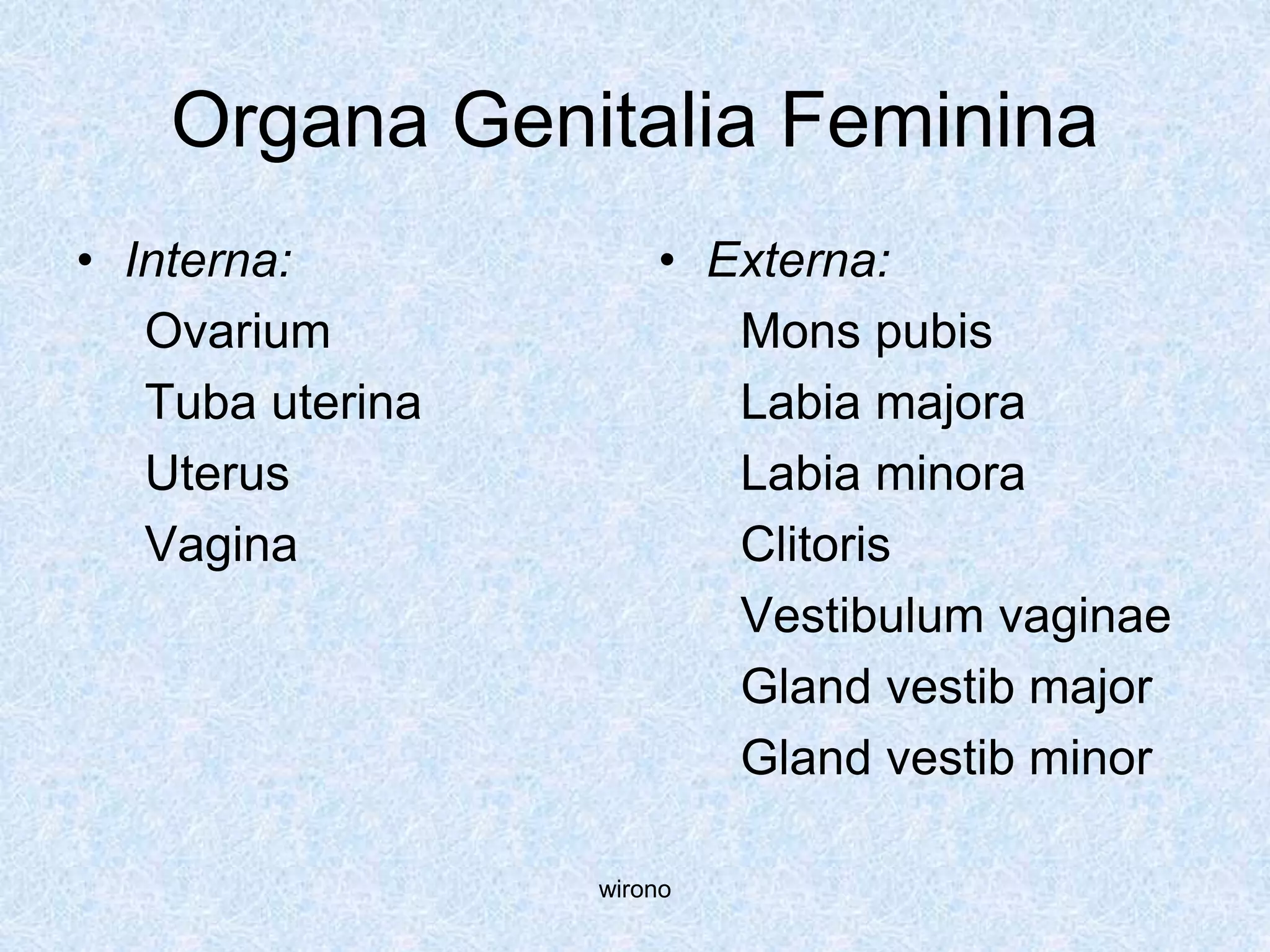 Genitalia femina | PPTX