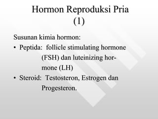 Genitalia masculina | PPT