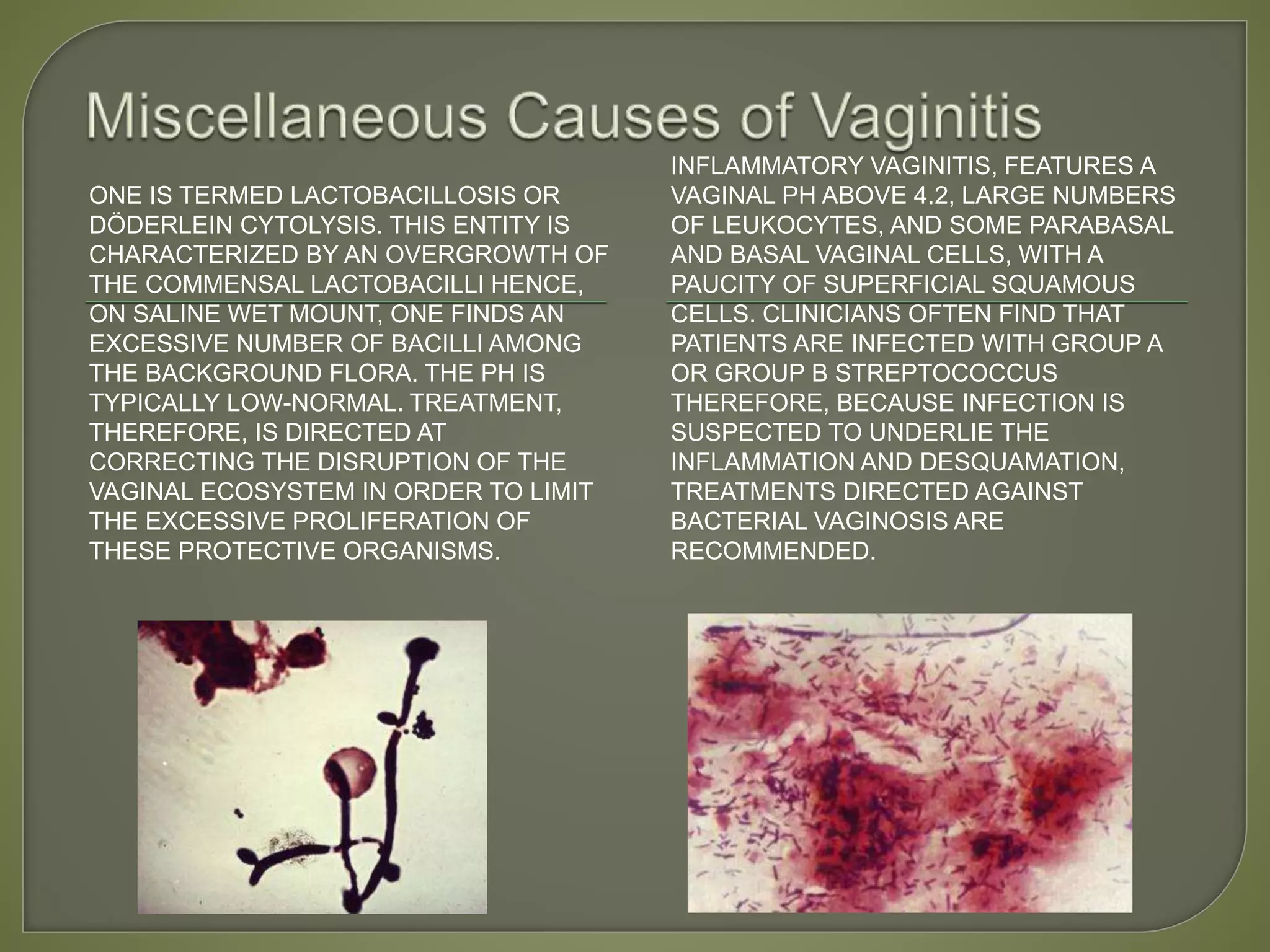 Genital infections in gynecology | PPTX