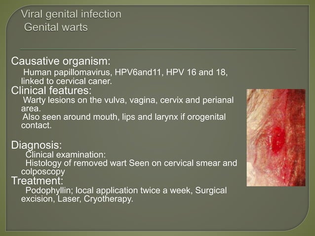 Genital infections in gynecology | PPTX